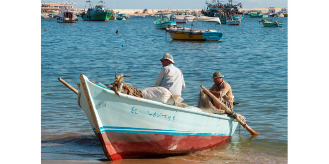 Dow and WasteAid launch new plastics partnership in Egypt - Materials ...